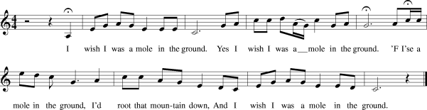 I Wish I Was a Mole in the Ground